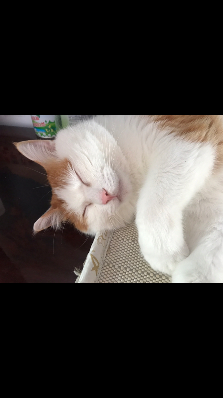 度小视